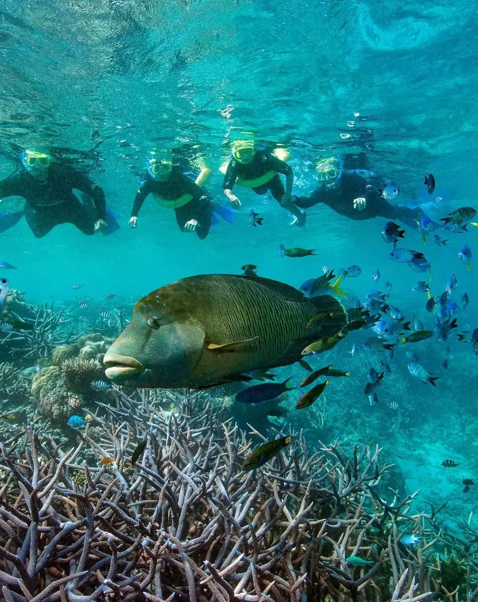 Outer vs Inner Great Barrier Reef