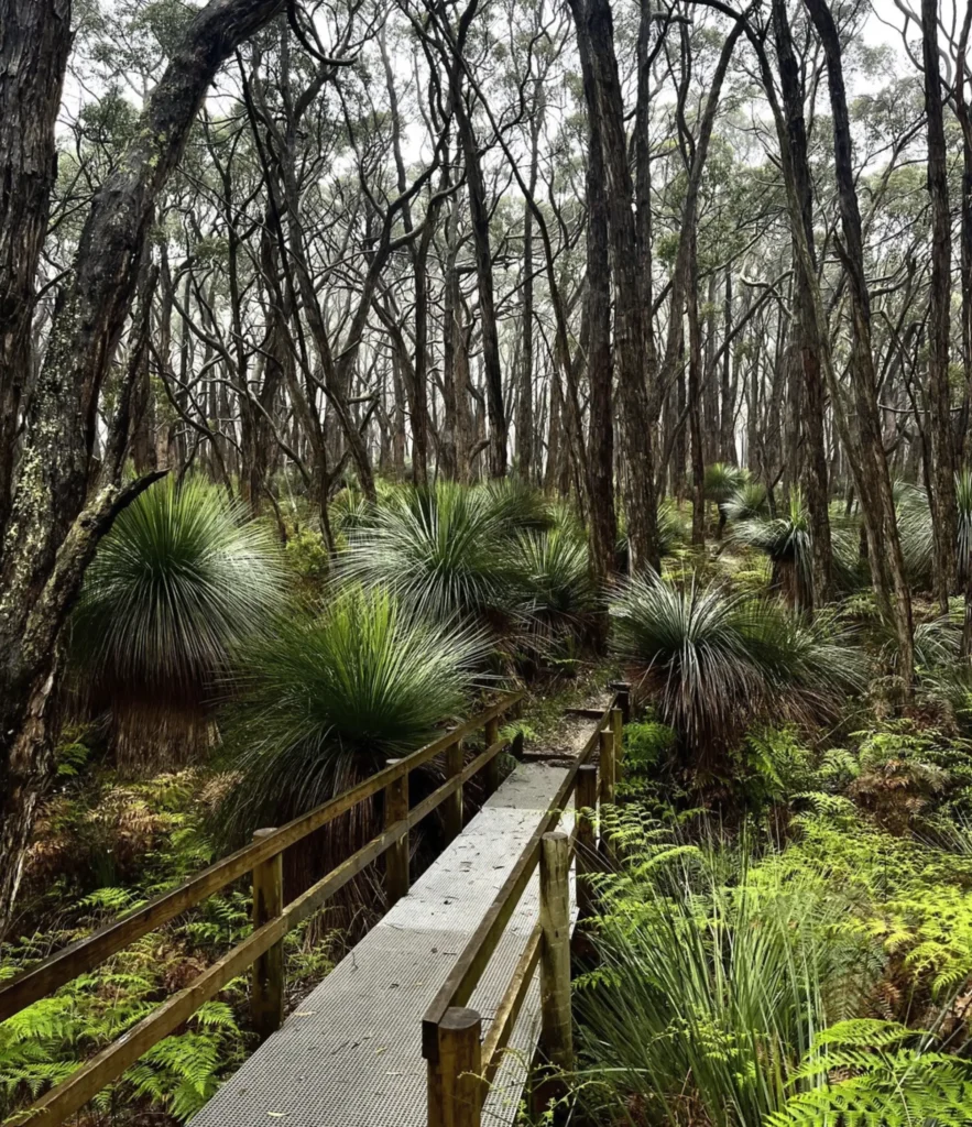 Exploring Katherine Gorge: Natural Beauty, Cultural Heritage, and ...